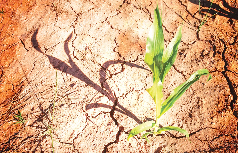 Drought-caused water cuts on tap for the West | Produce News