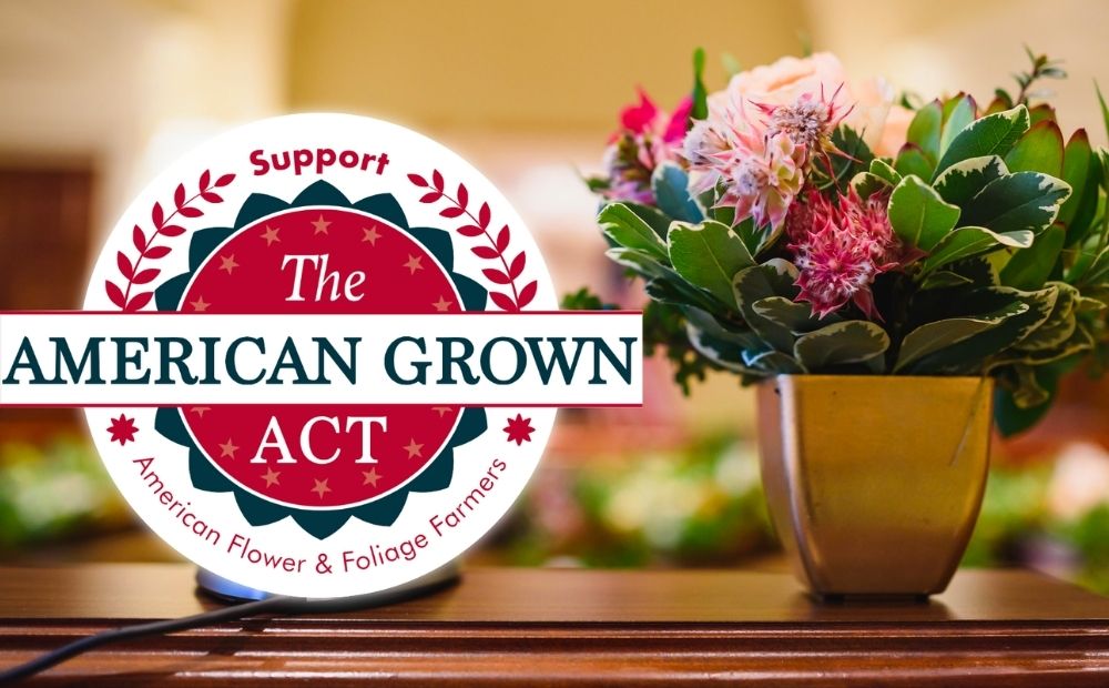 Origin Matters – American Grown has incredible meaning | Produce News