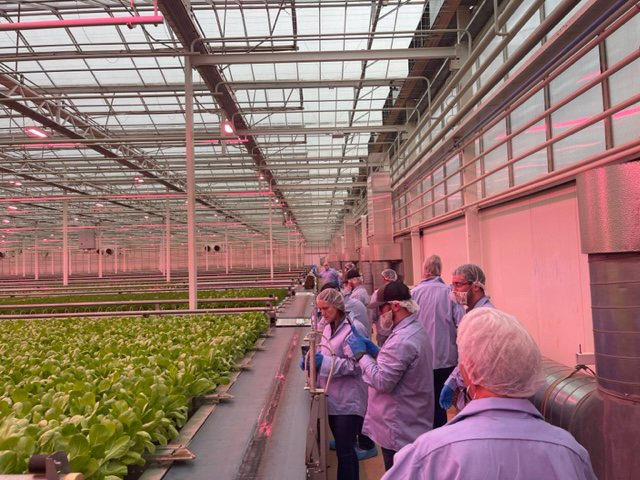 South Georgia grower-shippers welcome STEP-UPP class | Produce News