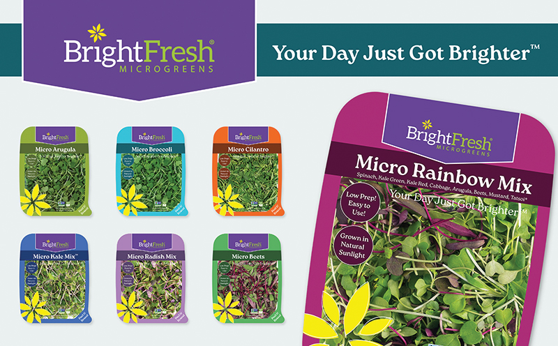 BrightFresh Microgreens unveils new packaging, brand refresh | Produce News