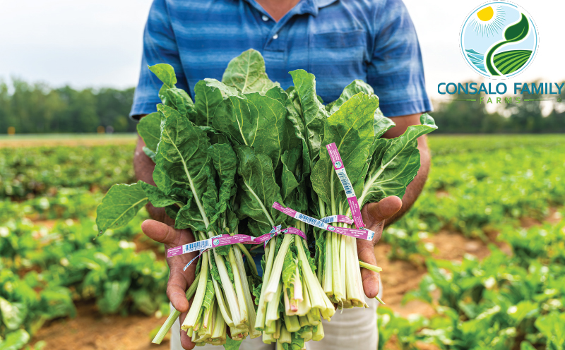 Consalo Family Farms stays true to its message | Produce News