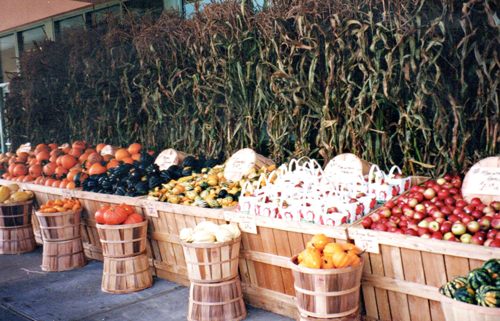 Market Minute: Promote fall harvest produce | Produce News