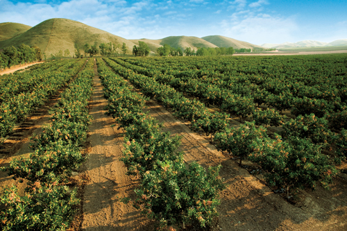 Wonderful Co.'s Stewart Resnick is Western Growers 2025 Award of Honor ...
