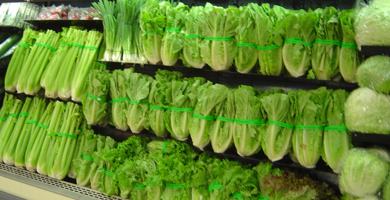 New salad vegetable crops ready for promoting | Produce News