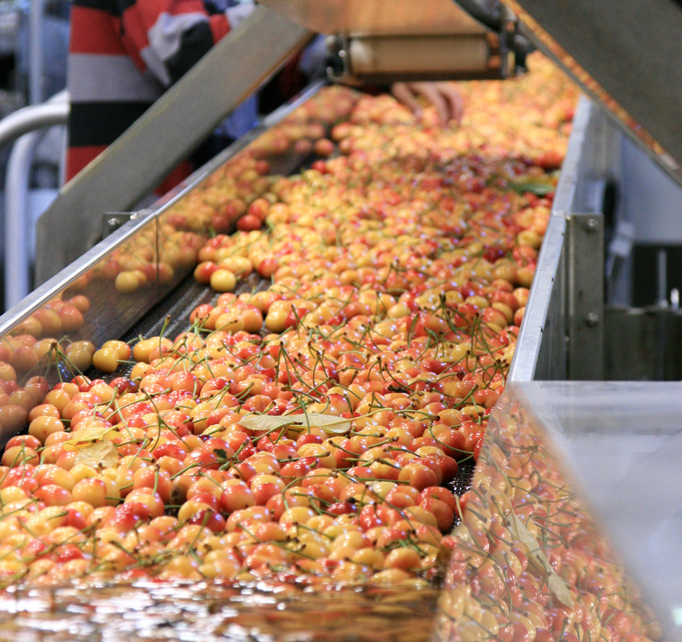 Delivering Superfresh cherries is all in the details | Produce News