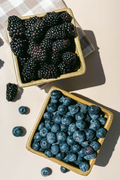 Homegrown Organic expands import berry program | Produce News