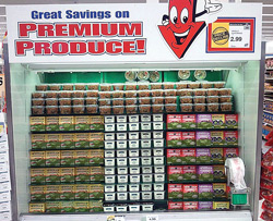 Growth explosive for avocado products, Fresherized Foods | Produce News
