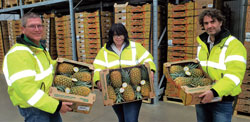 Pharr warehouse complements Tabafresh strategy | Produce News