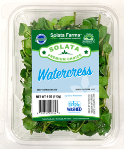 New variety of watercress makes its U.S. debut | Produce News