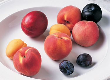 Northwest stone fruit prospects big, bright | Produce News