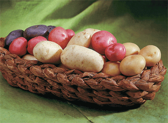 Washington potato export demand showing great growth | Produce News