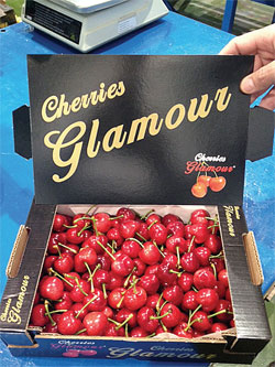 Flavor Tree introduces greenhouse cherries from Spain into North ...