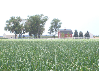 Fagerberg Produce/Fagerberg Farms named 2015 PrecisionAg Farmer of the ...