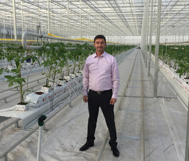 NatureFresh’s new Ohio greenhouse gets first plants | Produce News