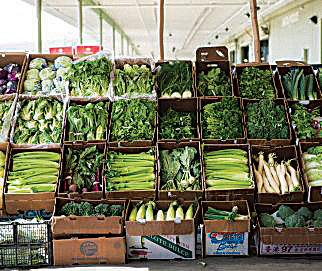 Shasta Produce leading the San Francisco Bay area market in wholesale ...