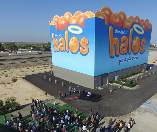 Wonderful celebrates Halos’ fourth anniversary in a big way | Produce News