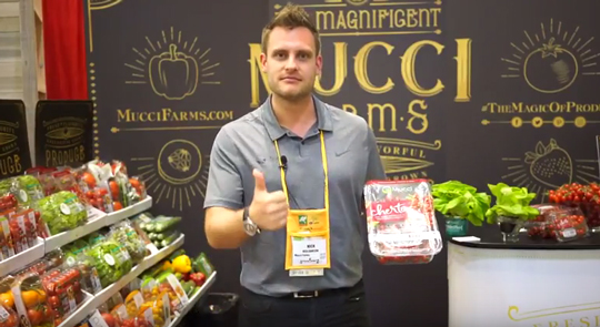 Mucci's new Cherto cherry tomato-on-the-vine | Produce News