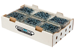 Sambrailo opens new facility in Mexico to tailor clamshells to ...