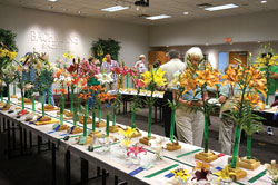 Minnesota lily society hosts Land of 10,000 Lilies show and fall bulb ...